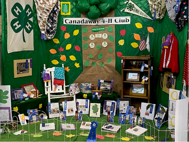 4-H projects judged for 2023 County Fair display with several selected ...